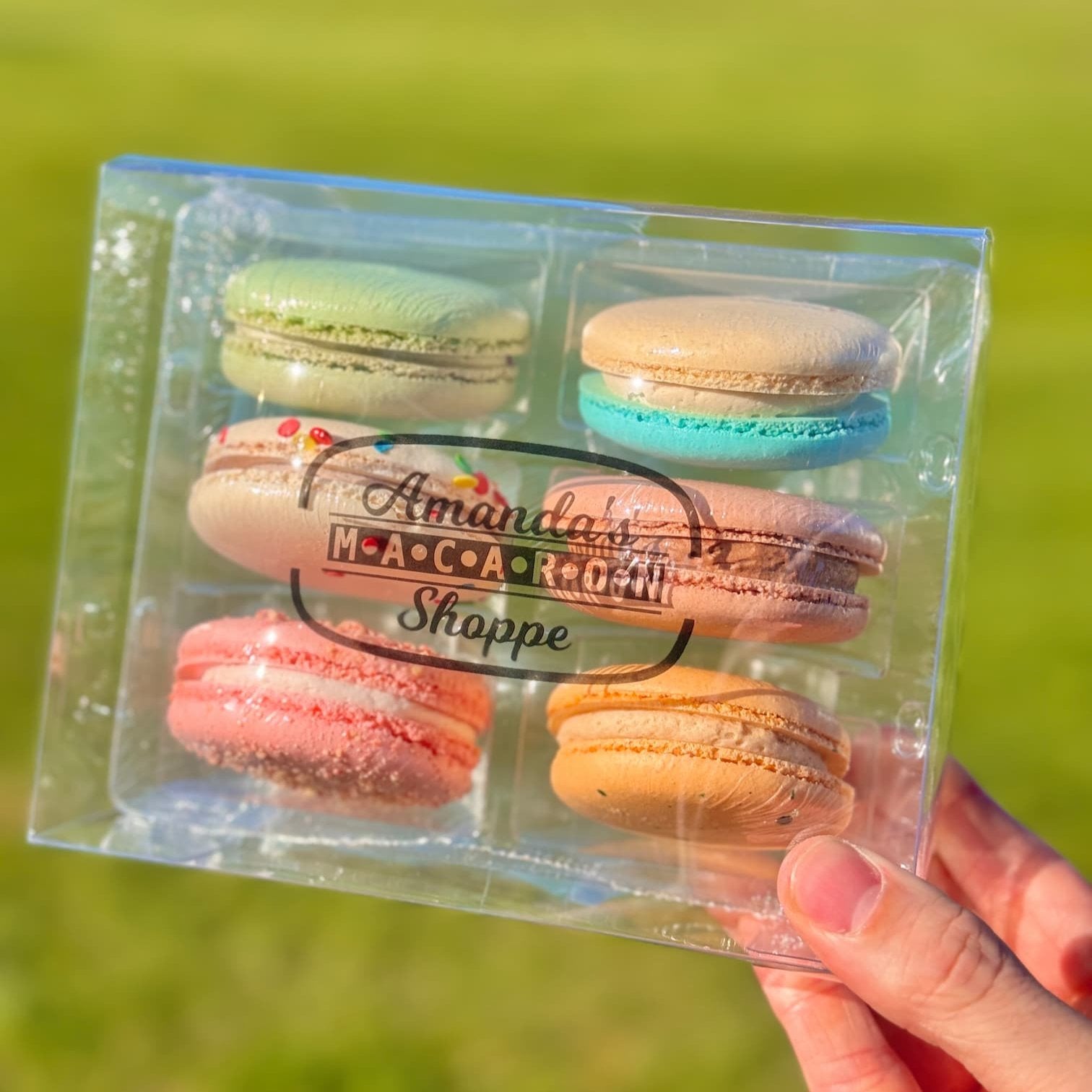 Extra Large French Macarons - Gluten Free – Amanda's Macaron Shoppe